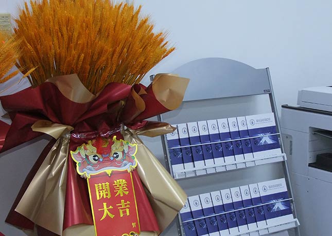 深圳派大星-机构首页